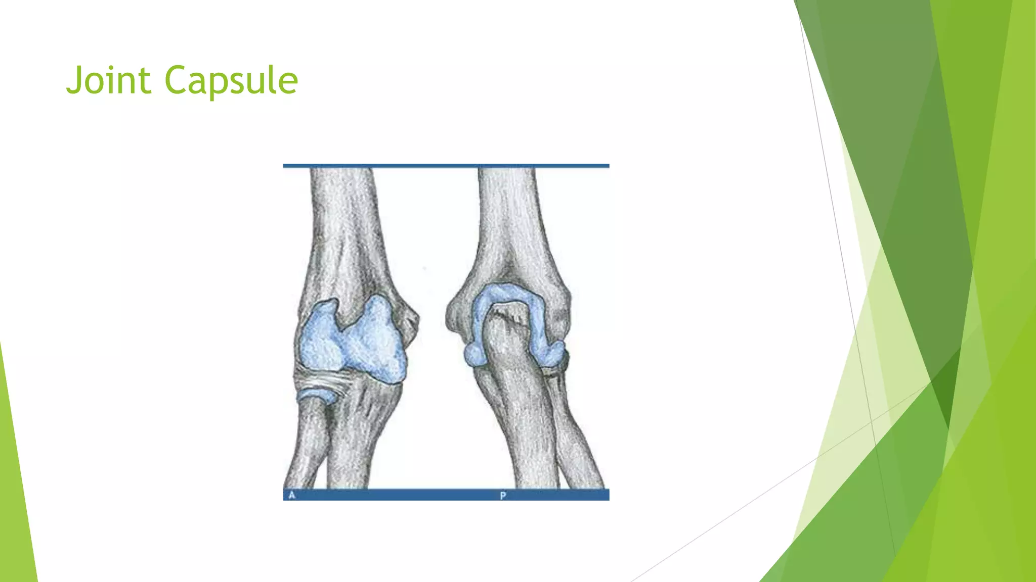 Instability around elbow -1st part | PPTX