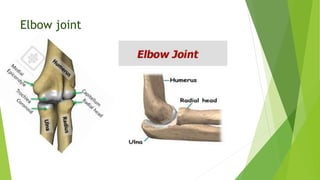 Instability around elbow -1st part | PPT