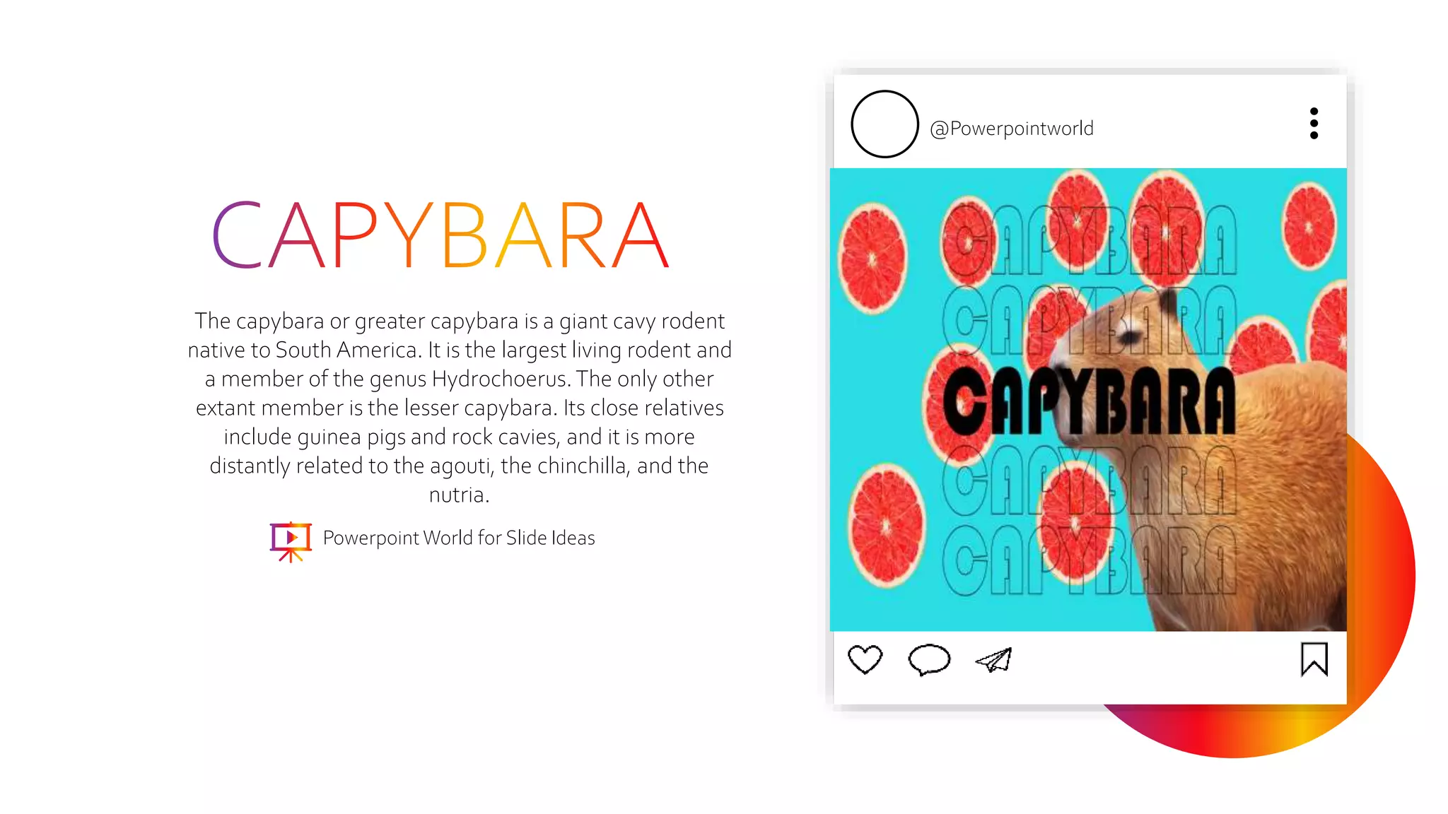 instagram style ppt template | PPTX