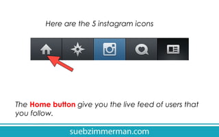 What are each of the Instagram Buttons? | PPT