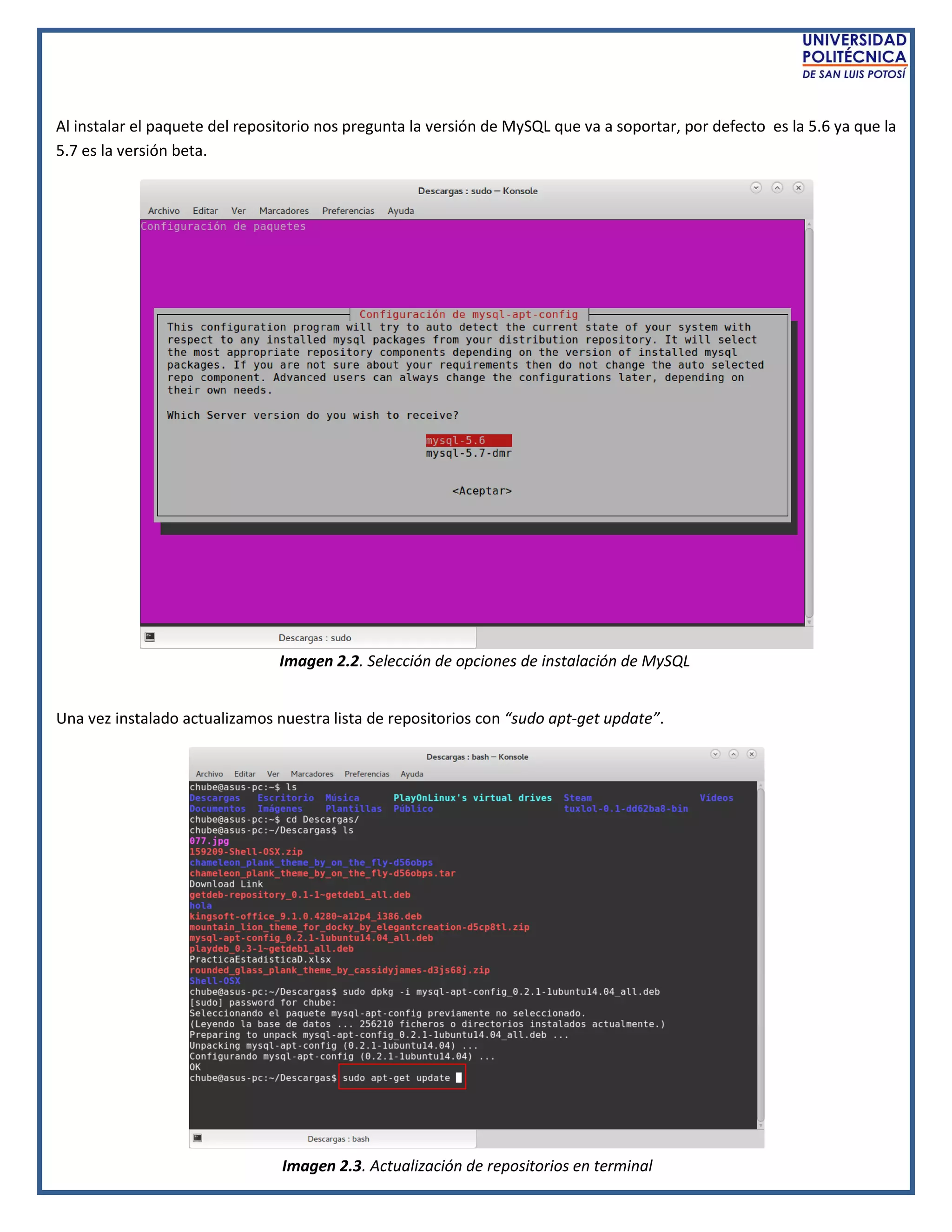 Instalación De Mysql En Linux Mint Pdf 