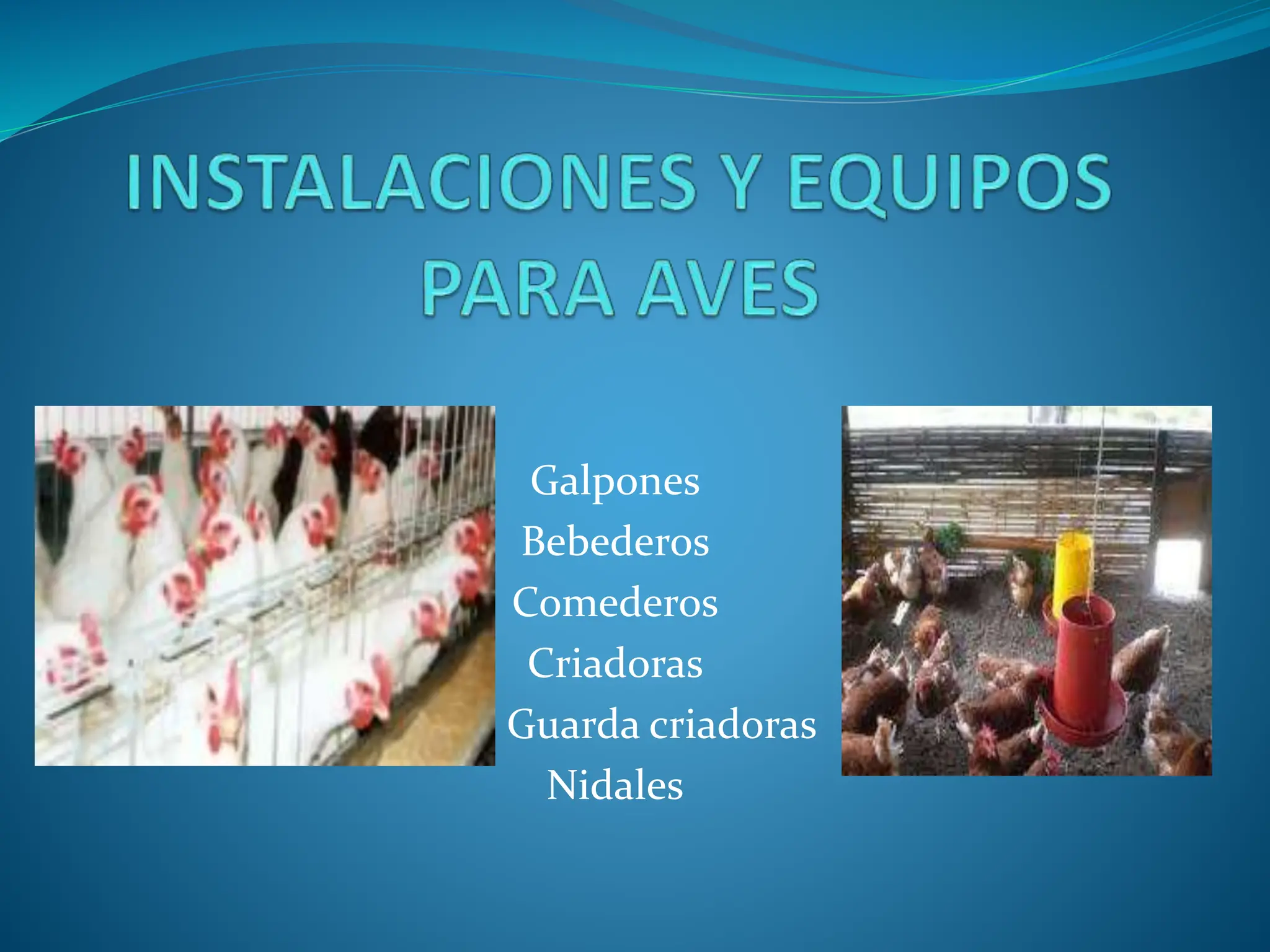 INSTALACIONES AVICOLAS.pptx
