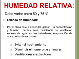 Instalaciones pecuarias avicultura | PPTX