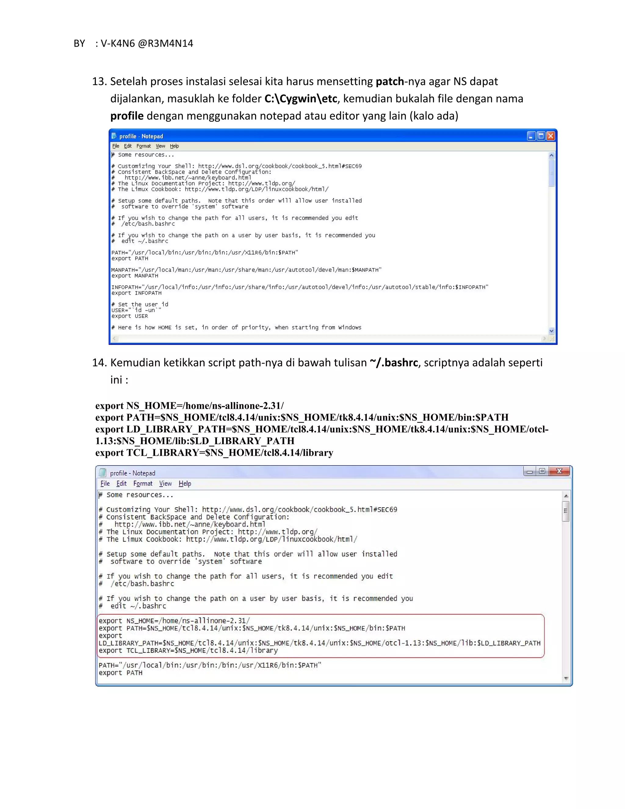 NS installation in Windows | PDF