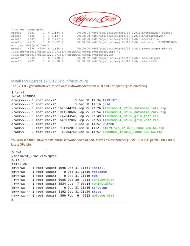 Install and upgrade Oracle grid infrastructure 12.1.0.2 | PDF ...
