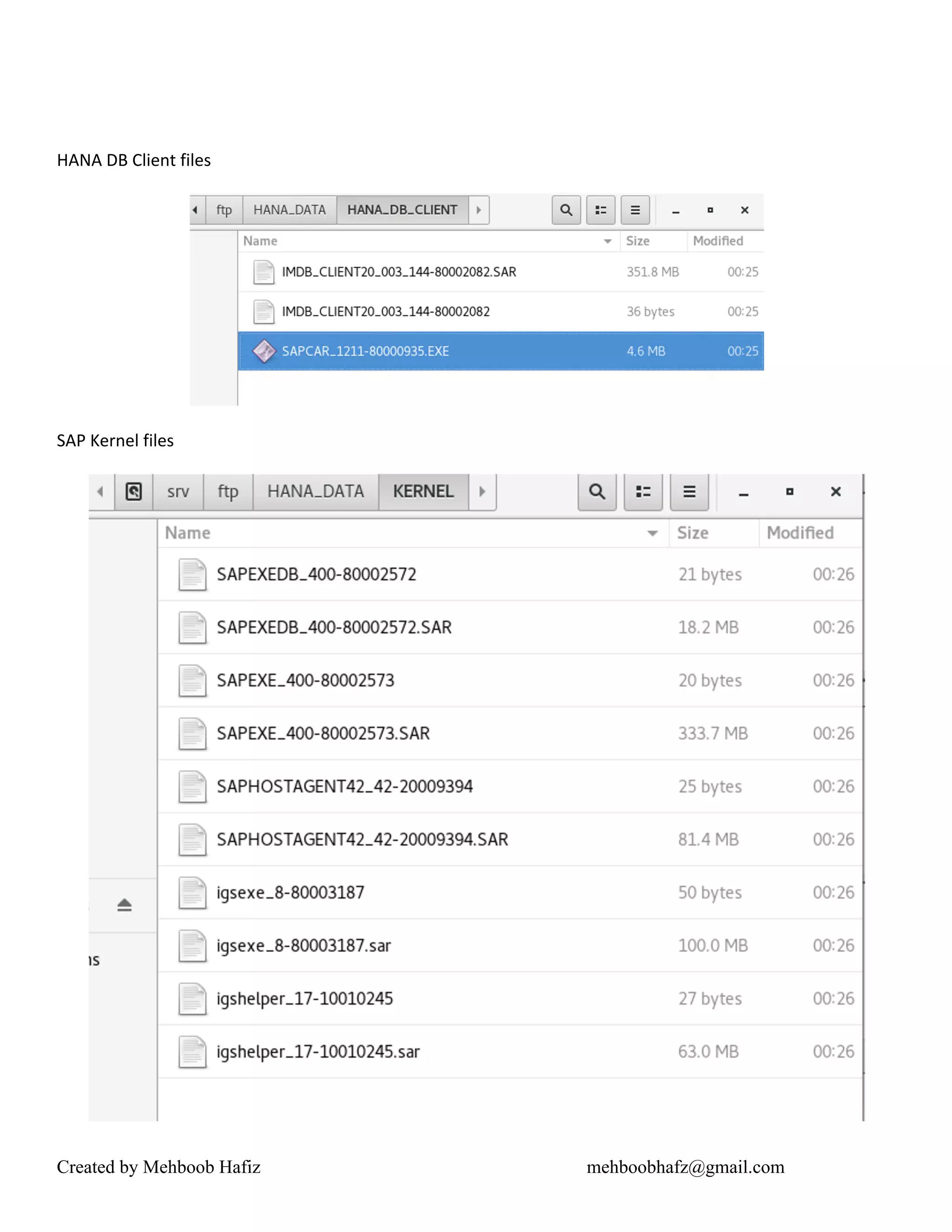 Installation of sap HANA DB system on SUSE Linux | PDF