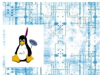 Install denwer | PPT