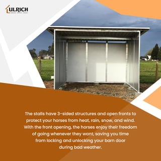 Install Run in-Shed Stalls and Avoid Keeping Your Horses Confined | PDF