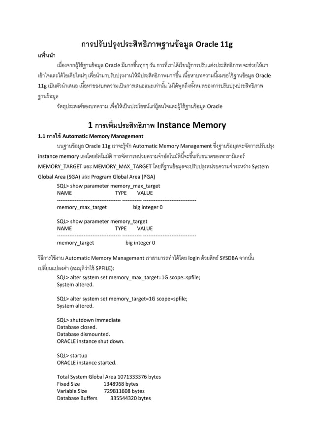 การเพิ่มประสิทธิภาพ Instance memory - Oracle 11G | PDF