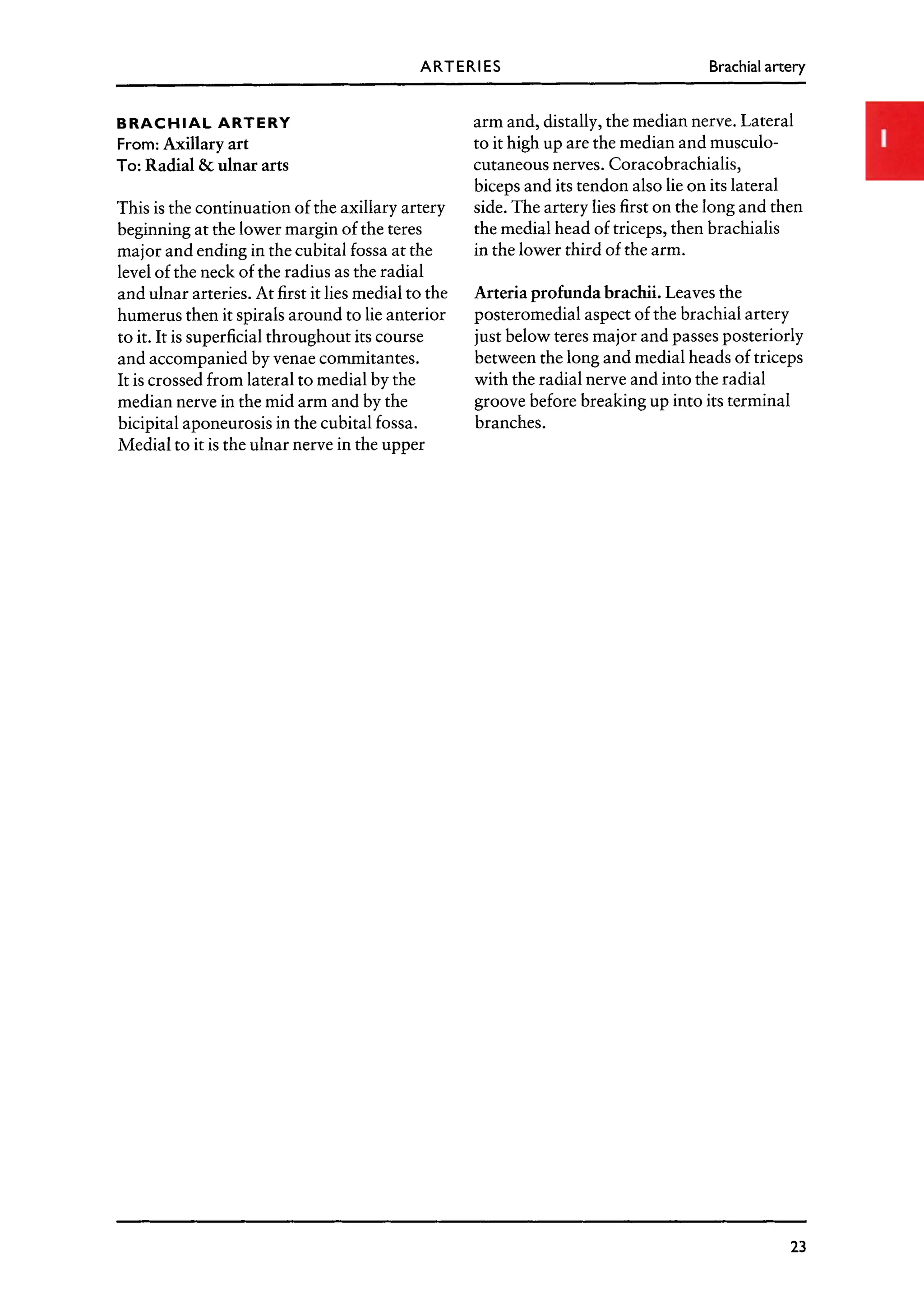 Buku pembelajaran anatomy - Instant anatomy | PDF