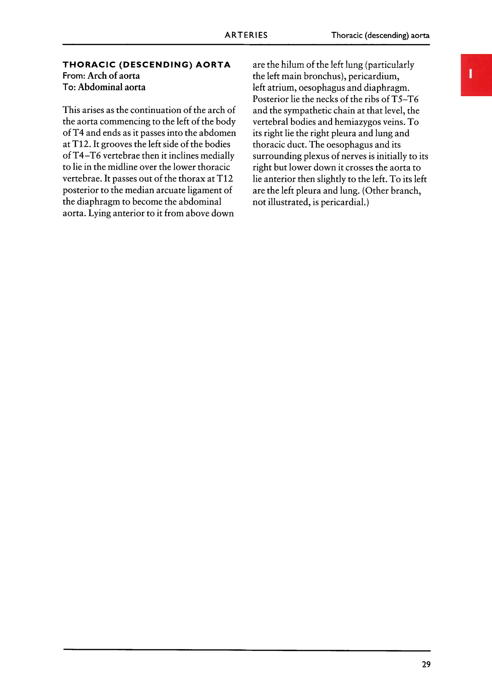 Buku pembelajaran anatomy - Instant anatomy | PDF