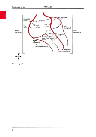 Buku pembelajaran anatomy - Instant anatomy | PDF