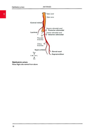 Buku pembelajaran anatomy - Instant anatomy | PDF