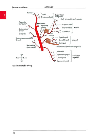 Buku pembelajaran anatomy - Instant anatomy | PDF