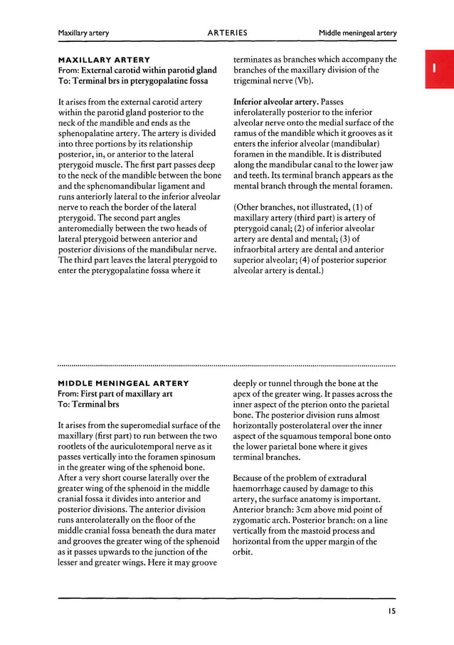 Buku pembelajaran anatomy - Instant anatomy | PDF