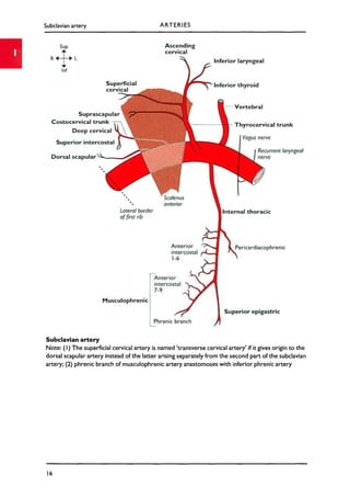 Buku pembelajaran anatomy - Instant anatomy | PDF