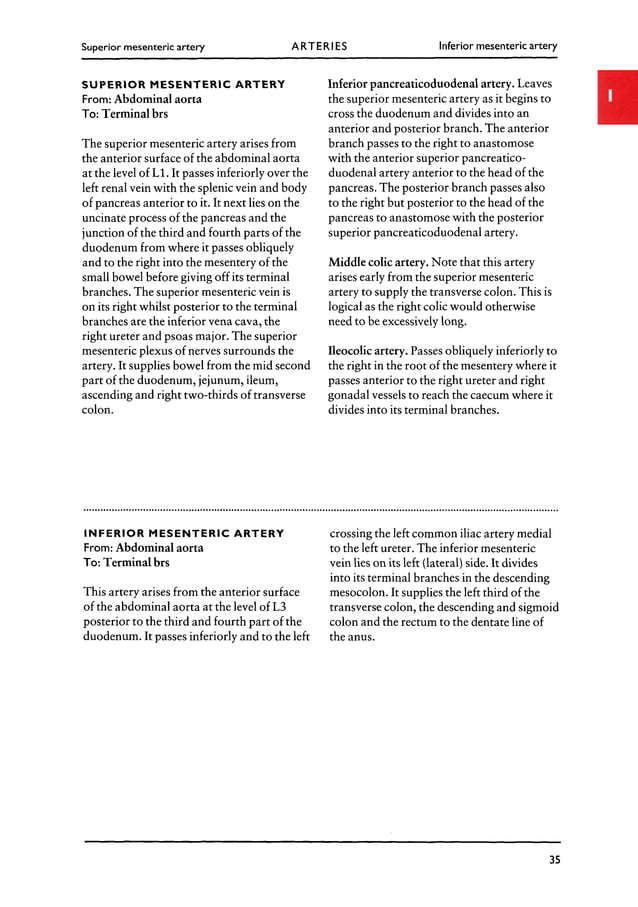 Buku pembelajaran anatomy - Instant anatomy | PDF