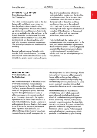 Buku pembelajaran anatomy - Instant anatomy | PDF