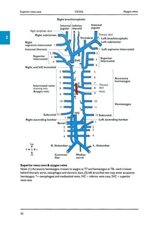 Buku pembelajaran anatomy - Instant anatomy | PDF
