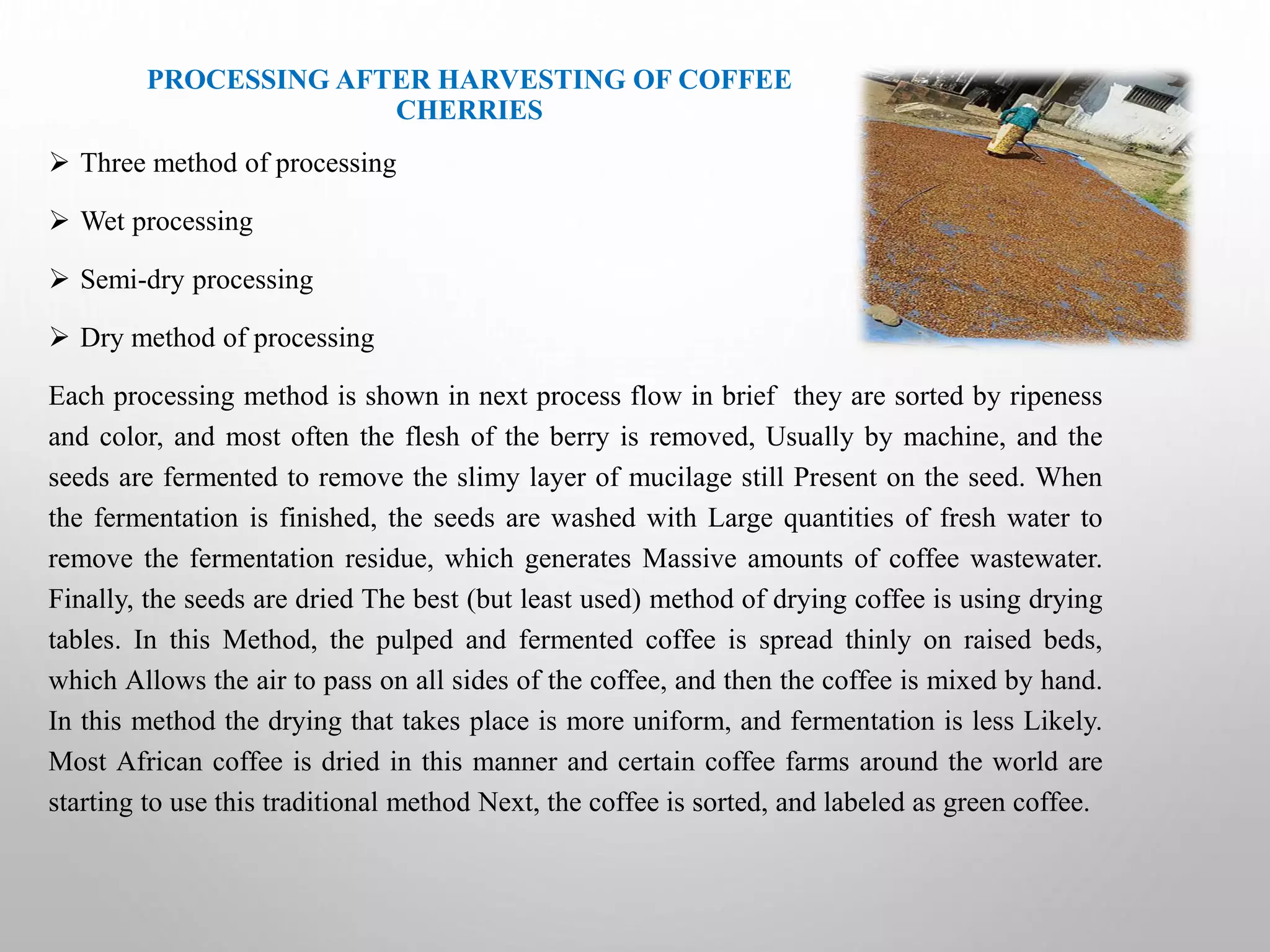 Instant coffee manufacturing (what you know about coffee) | PDF