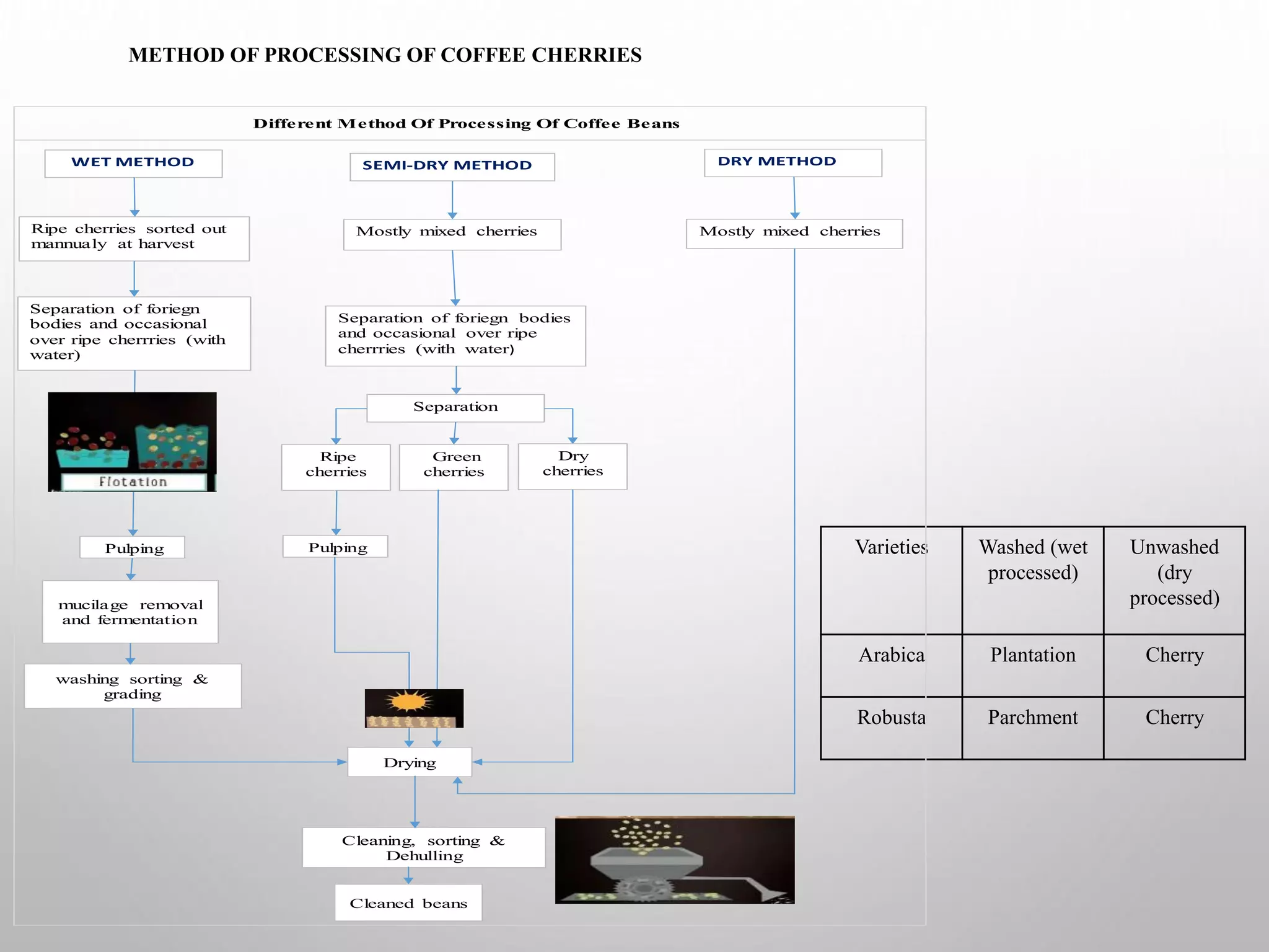 Instant coffee manufacturing (what you know about coffee) | PDF