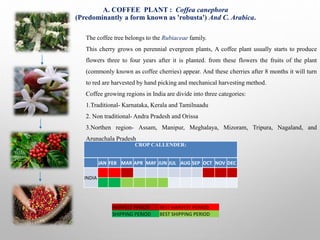 Instant coffee manufacturing (what you know about coffee) | PDF