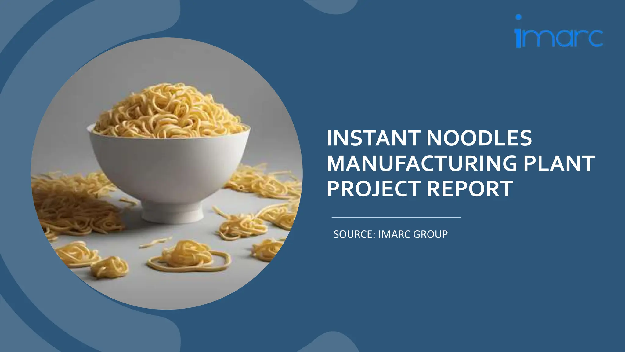 Project Report on Instant Noodles Manufacturing Plant | PPTX