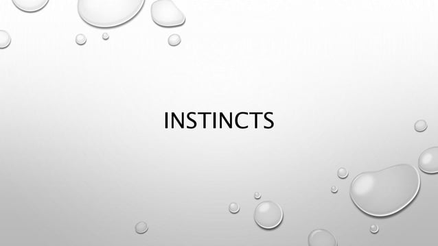 Insticts ppt presentation | PPTX | Science