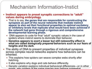 Instinct | PPT