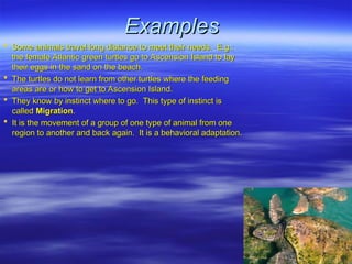 Instincts (Primary School) PowerPoint Presentation | PPT