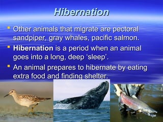 Instincts (Primary School) PowerPoint Presentation | PPT