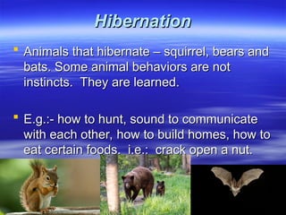 Instincts (Primary School) PowerPoint Presentation | PPT
