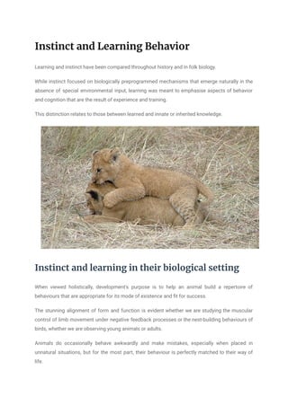 Instinct and Learning Behavior.pdf | Beekeeping | Hobbies & Interests