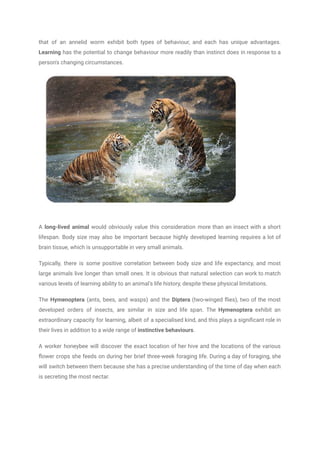 Instinct and Learning Behavior.pdf | Beekeeping | Hobbies & Interests