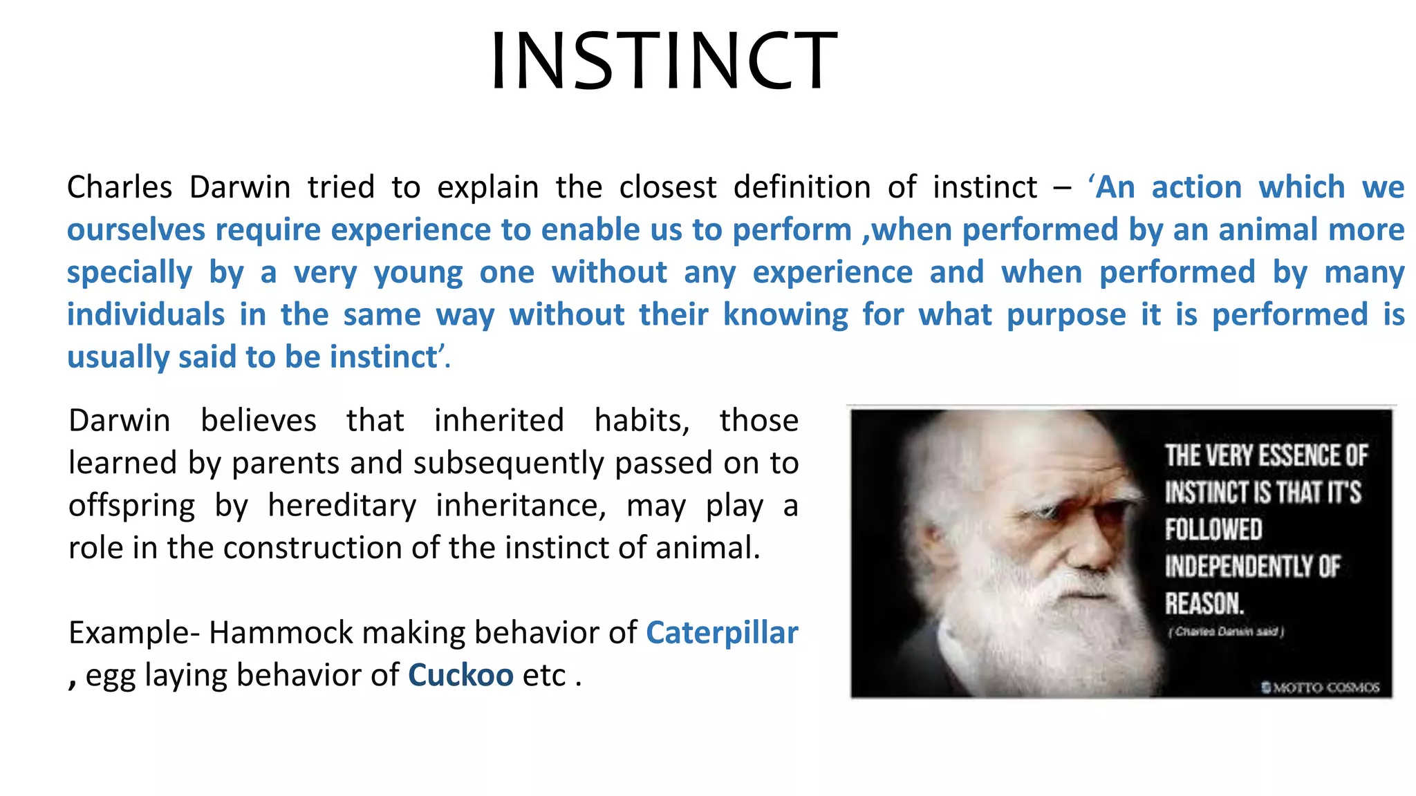 INSTINCT | PPTX