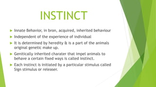 Instinct & imprinting | PPTX | Birdwatching | Hobbies & Interests