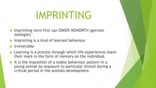 Instinct & imprinting | PPT