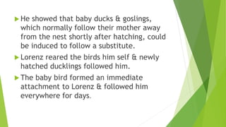 Instinct & imprinting | PPTX | Birdwatching | Hobbies & Interests