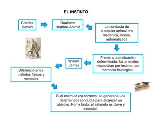 Teoría Del Instinto