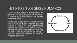 Instinto sexual y sexualidad | PPTX