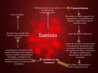 Instinto y sexualidad, fisiología y conducta | PPTX
