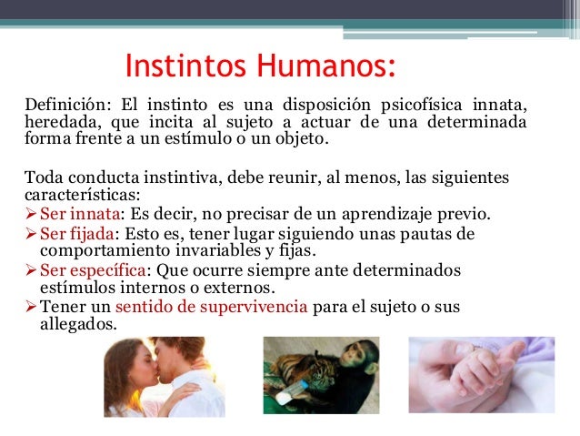 Exemplos De Instinto Humano