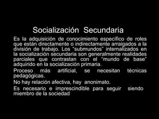 Profesor: Miguel Angel Ferraro | PPT