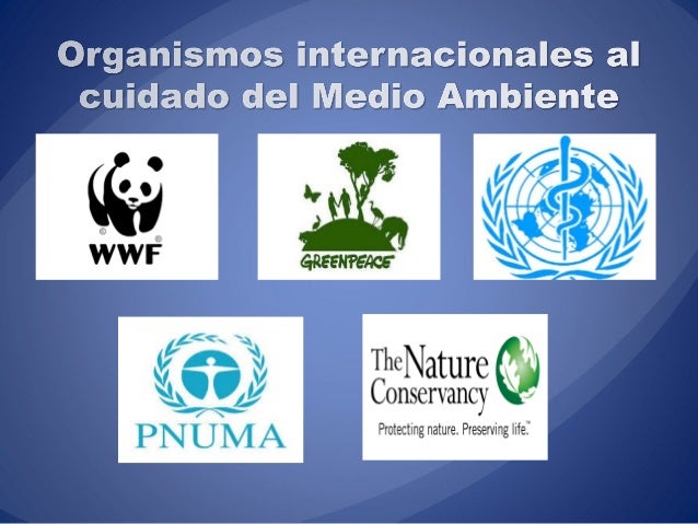 Instituciones del medio ambiente