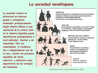 Instituciones Políticas y Sociales Novohispanas | PPT