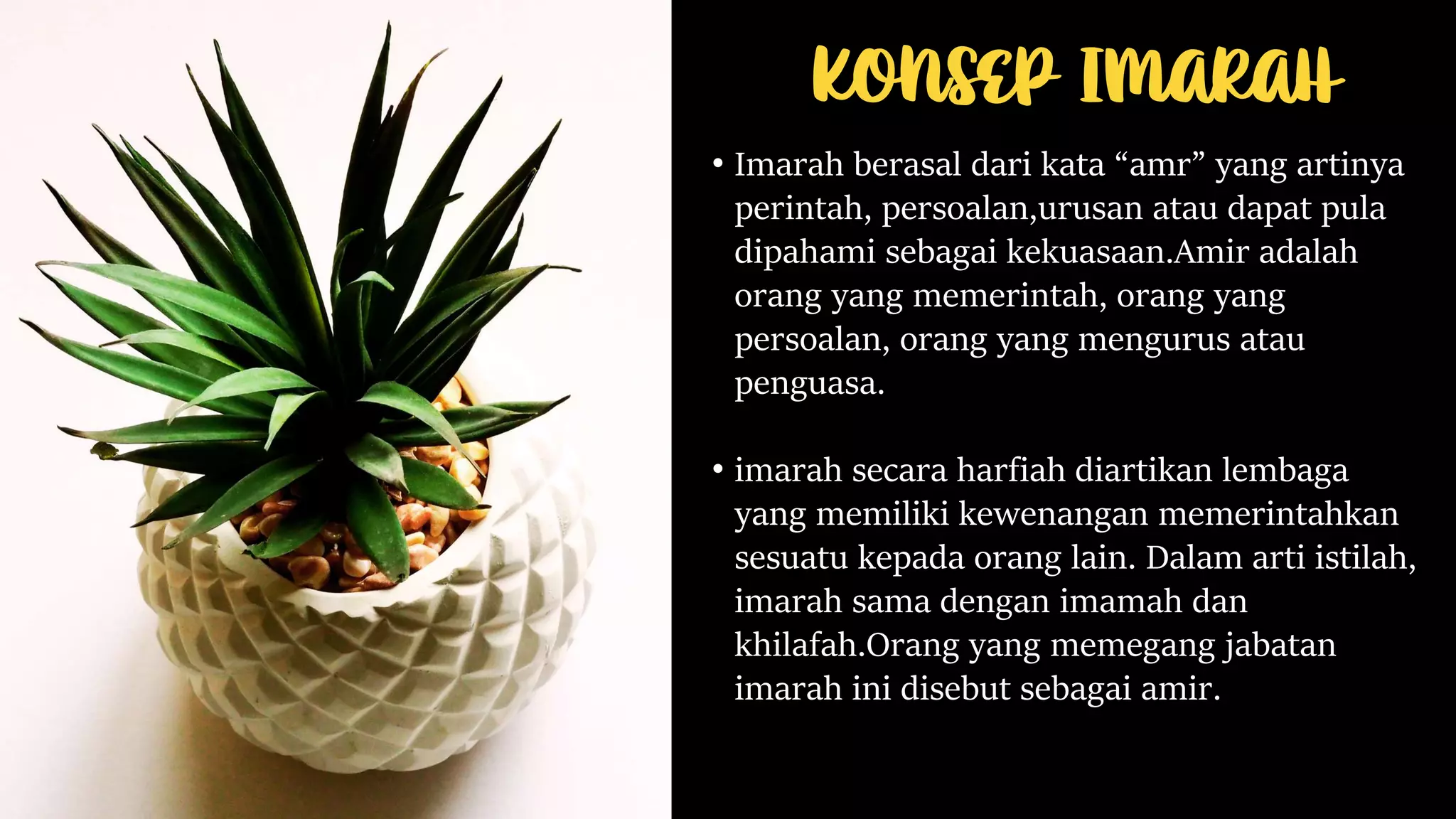 INSTITUSI POLITIK DALAM ISLAM.pptx