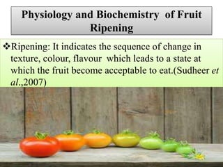 post harvest physiology | PPTX