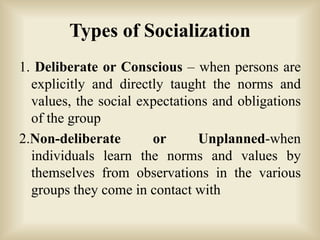 Institutions of socializations | PPTX | Parenting Children Aged 4-11 ...