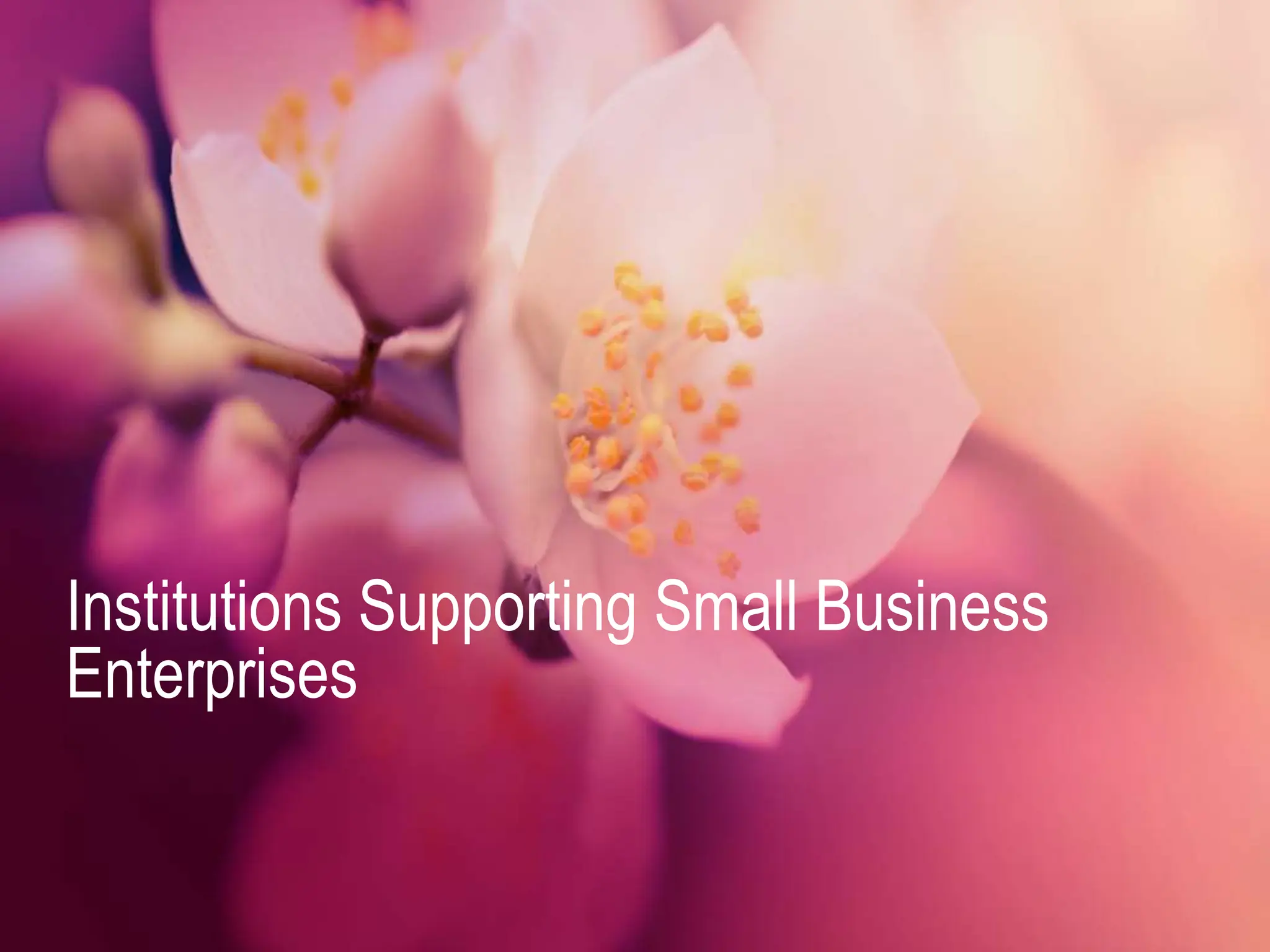 Institutions Supporting Small Business Enterprises.pptx