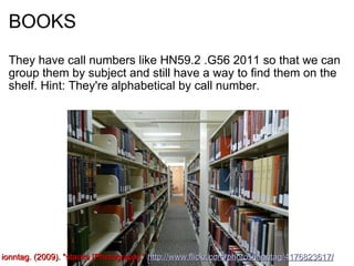 15 things you can find in a library | PPT
